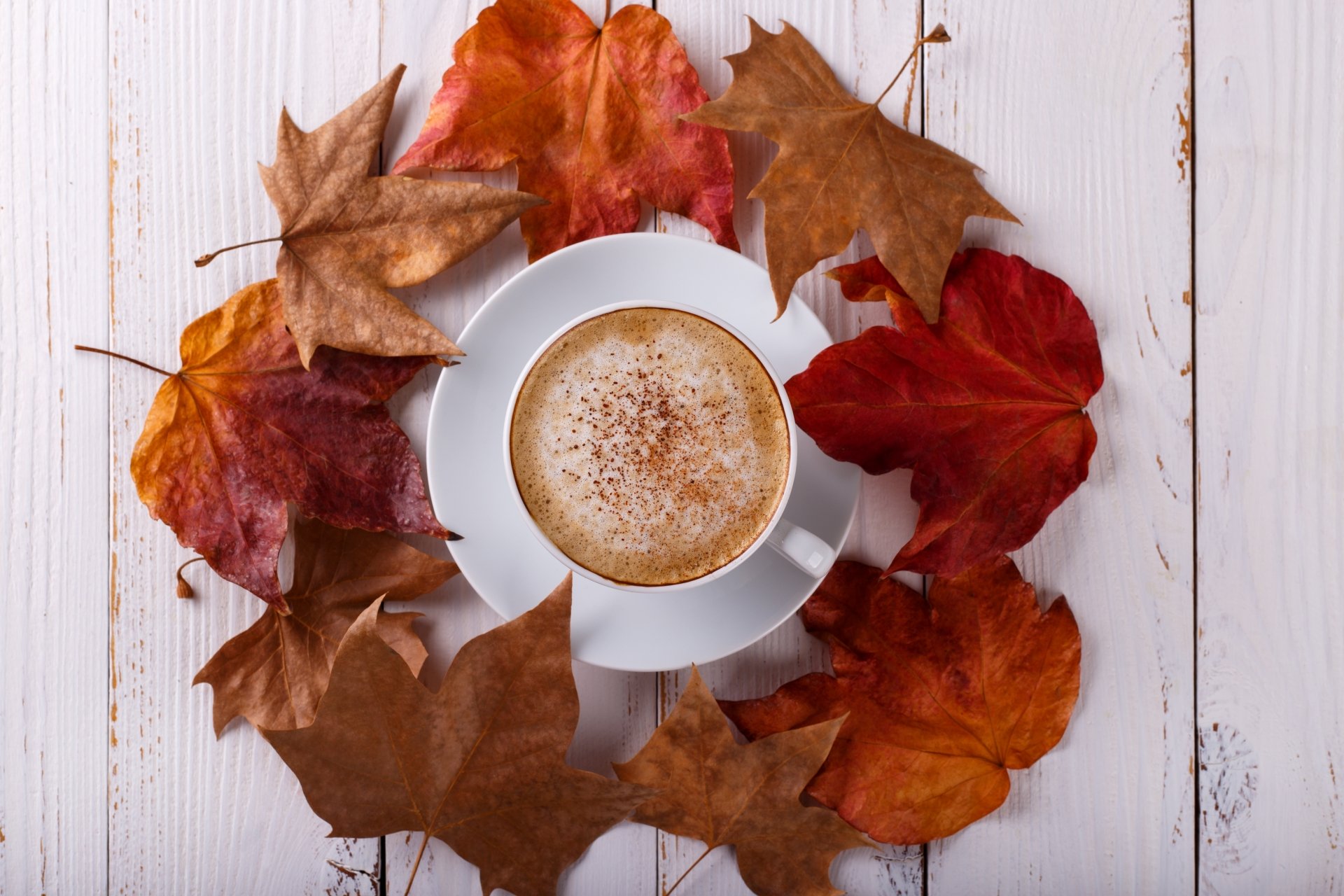 Download Drink Cup Food Coffee 4k Ultra HD Wallpaper | 5455x3637 ...
