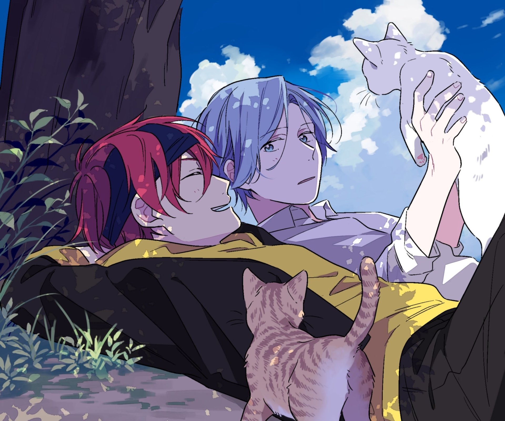 SK8 the Infinity HD: Reki & Langa with Anime Cats in Serene Moment