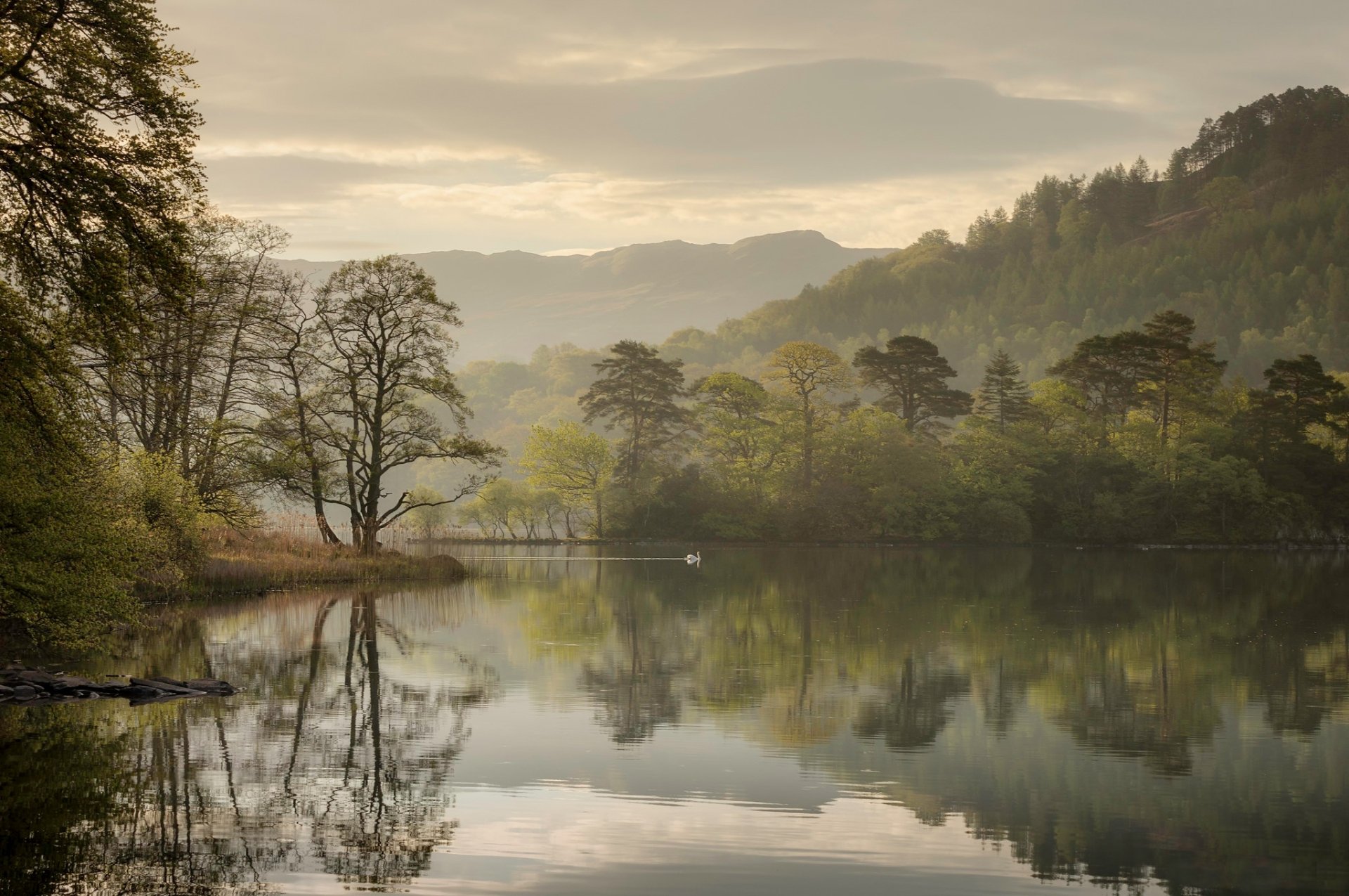 Download Lake Nature Reflection HD Wallpaper