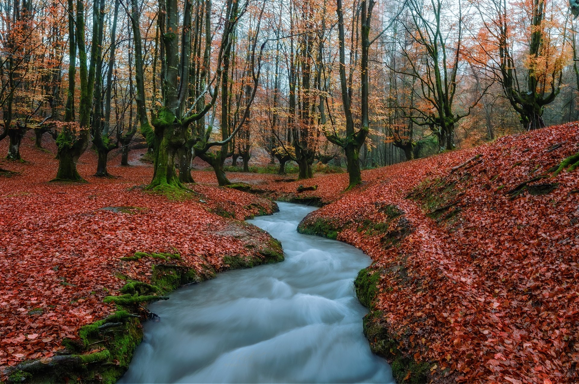 Download Nature Stream HD Wallpaper