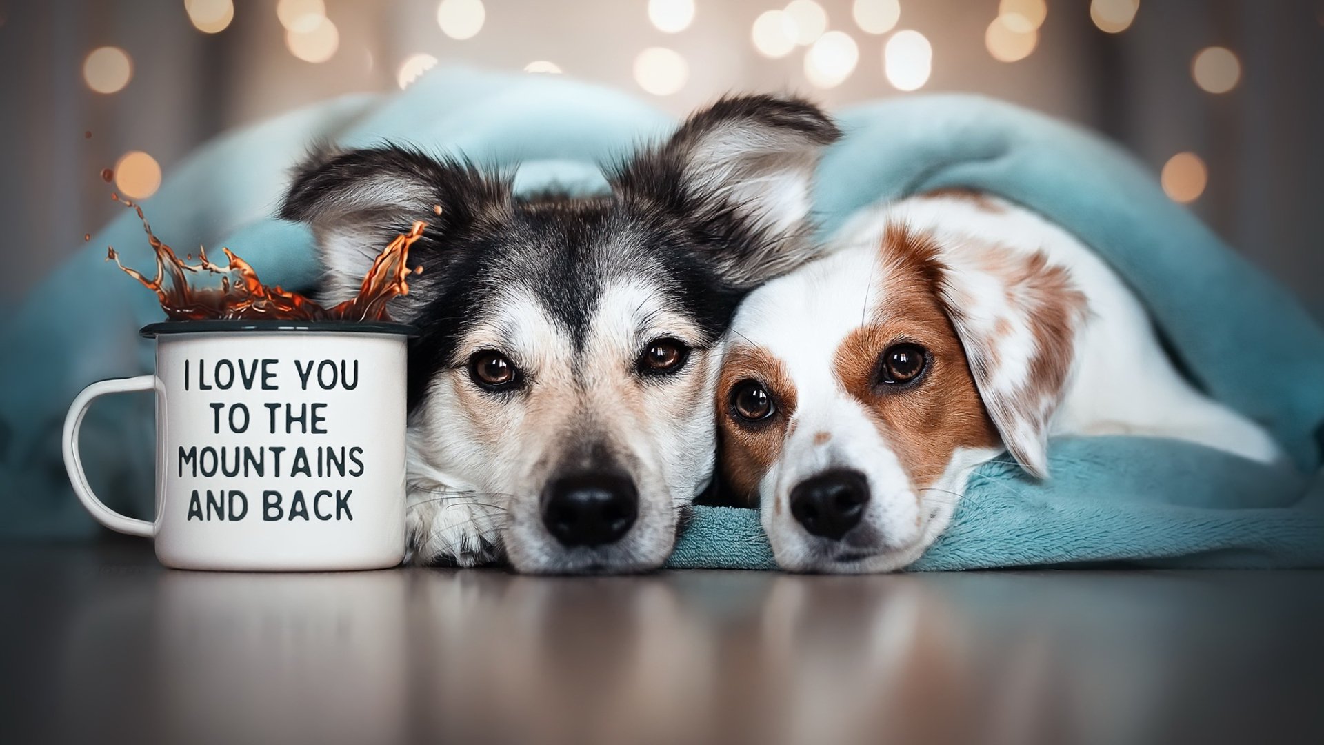 To the Mountains and Back — Cozy Puppy Duo HD Wallpaper | 2048x1152 ...