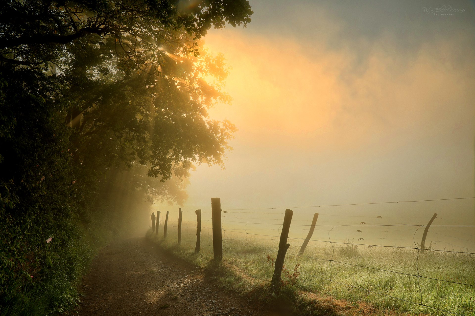 Download Man Made Fence HD Wallpaper by Rita Eberle-Wessner