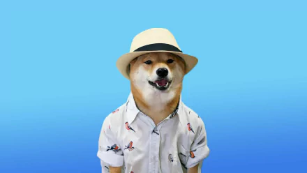 Doge - Desktop Wallpapers, Phone Wallpaper, PFP, Gifs, and More!