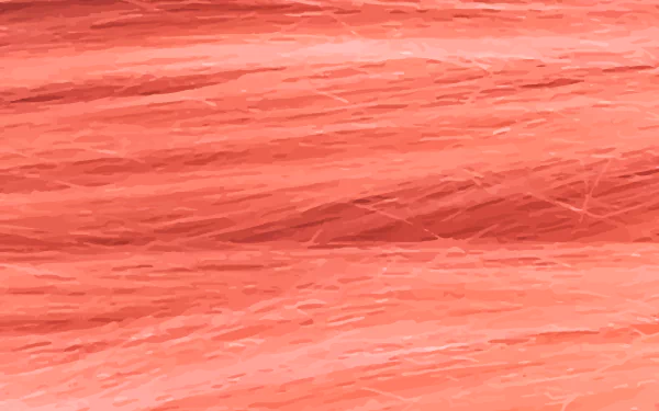 [110+] Red 8k Wallpapers