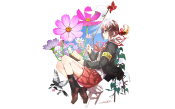 noyF At Alpha Coders