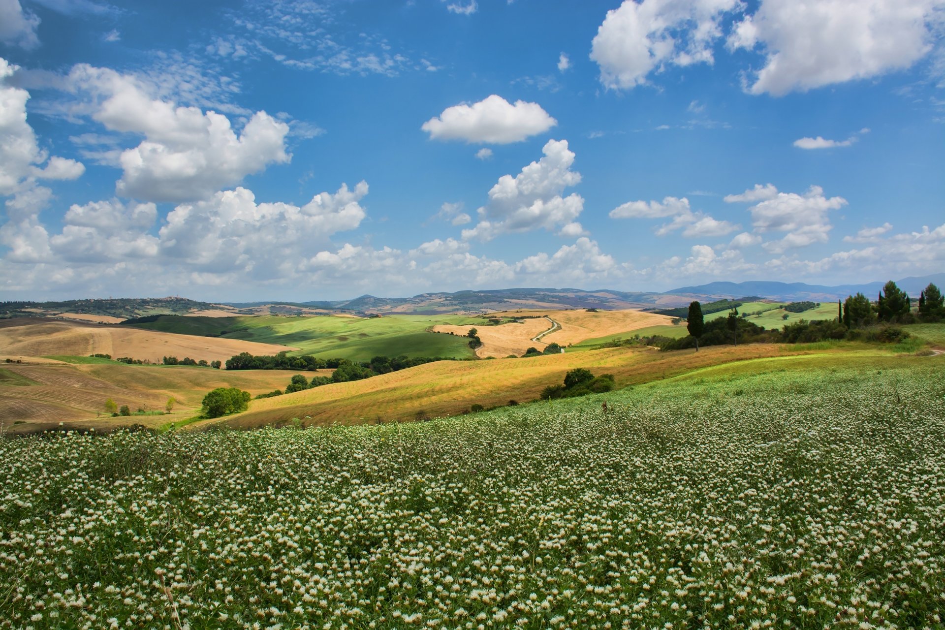 Sunlit Rolling Fields — HD Nature Landscape Wallpaper | 2500x1667 ...
