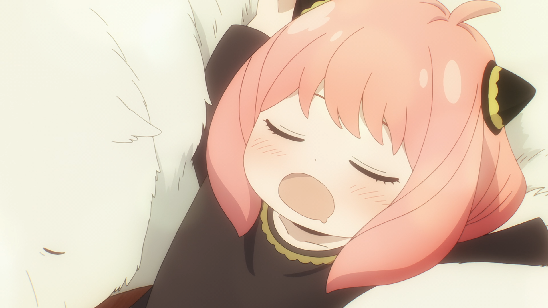 Download Anya Forger Anime Spy X Family HD Wallpaper