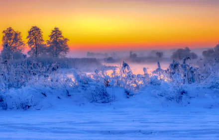 Winter Sunset - Desktop Wallpapers, Phone Wallpaper, PFP, Gifs, and More!