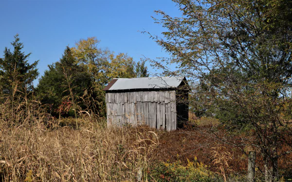 [1000+] Fall 4k Wallpapers