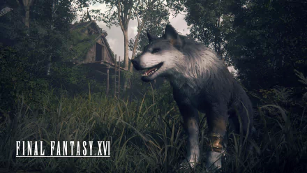 Torgal (Final Fantasy) - Desktop Wallpapers, Phone Wallpaper, PFP, Gifs ...