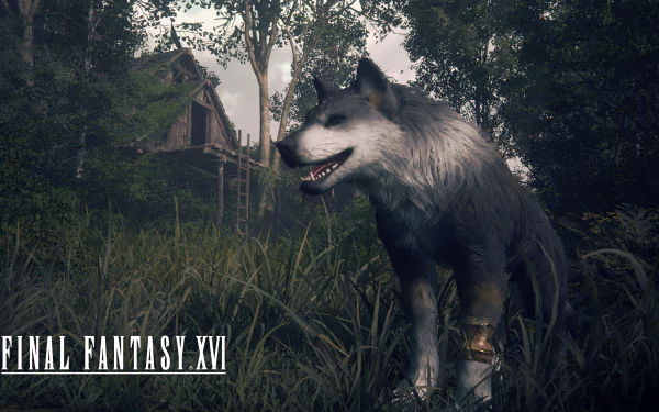 Torgal (Final Fantasy) Wallpapers