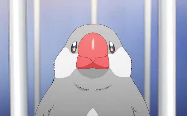 Pii-chan (Sasaki And Peeps) Wallpapers