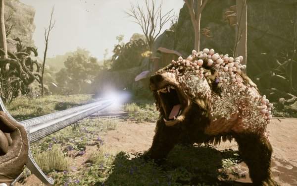 [10+] Avowed Wallpapers