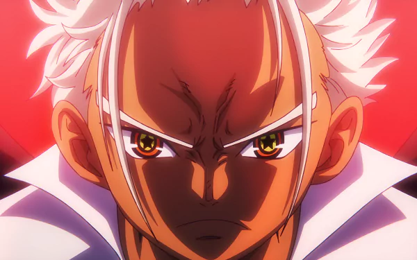 [10+] S-Hawk (One Piece) Wallpapers