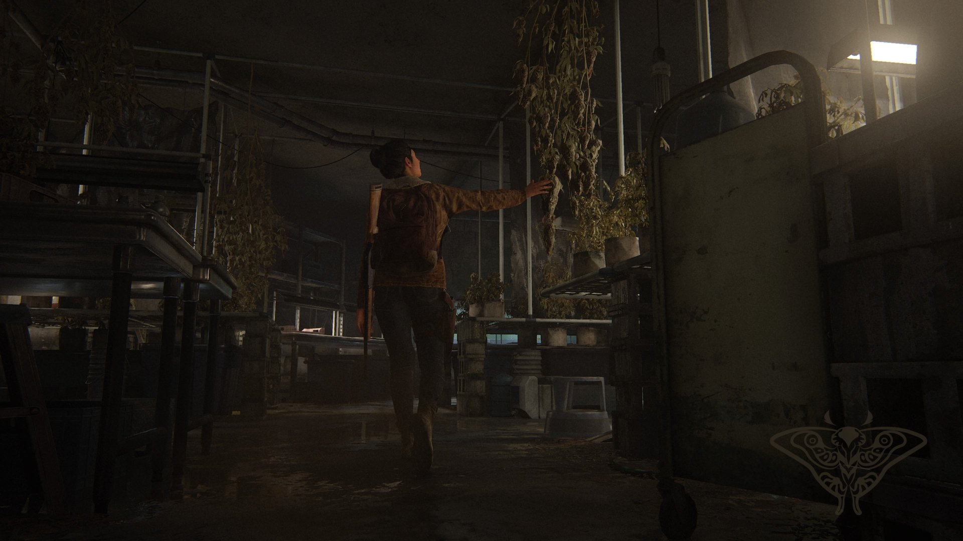 Jackson (Dina+logo) by Tlouuser447