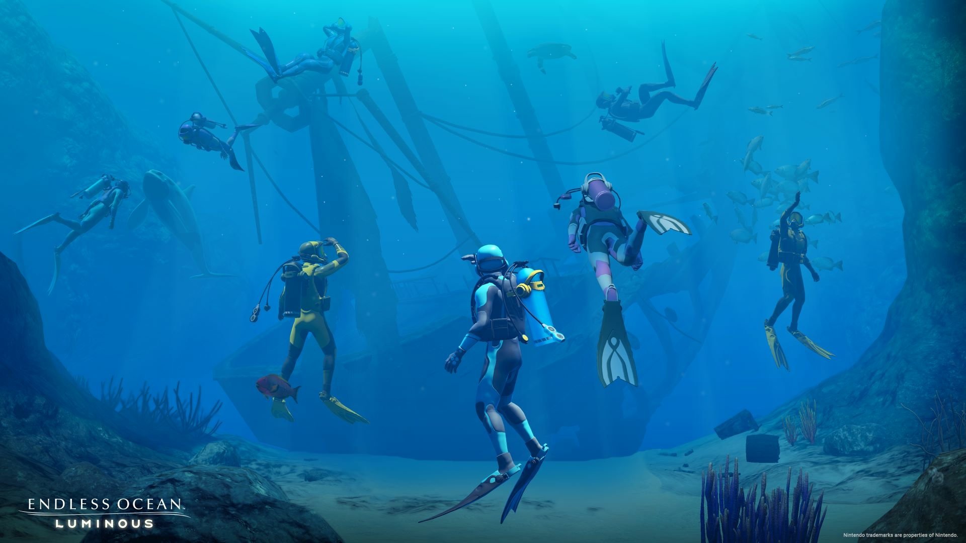 Download Endless Ocean HD Wallpaper