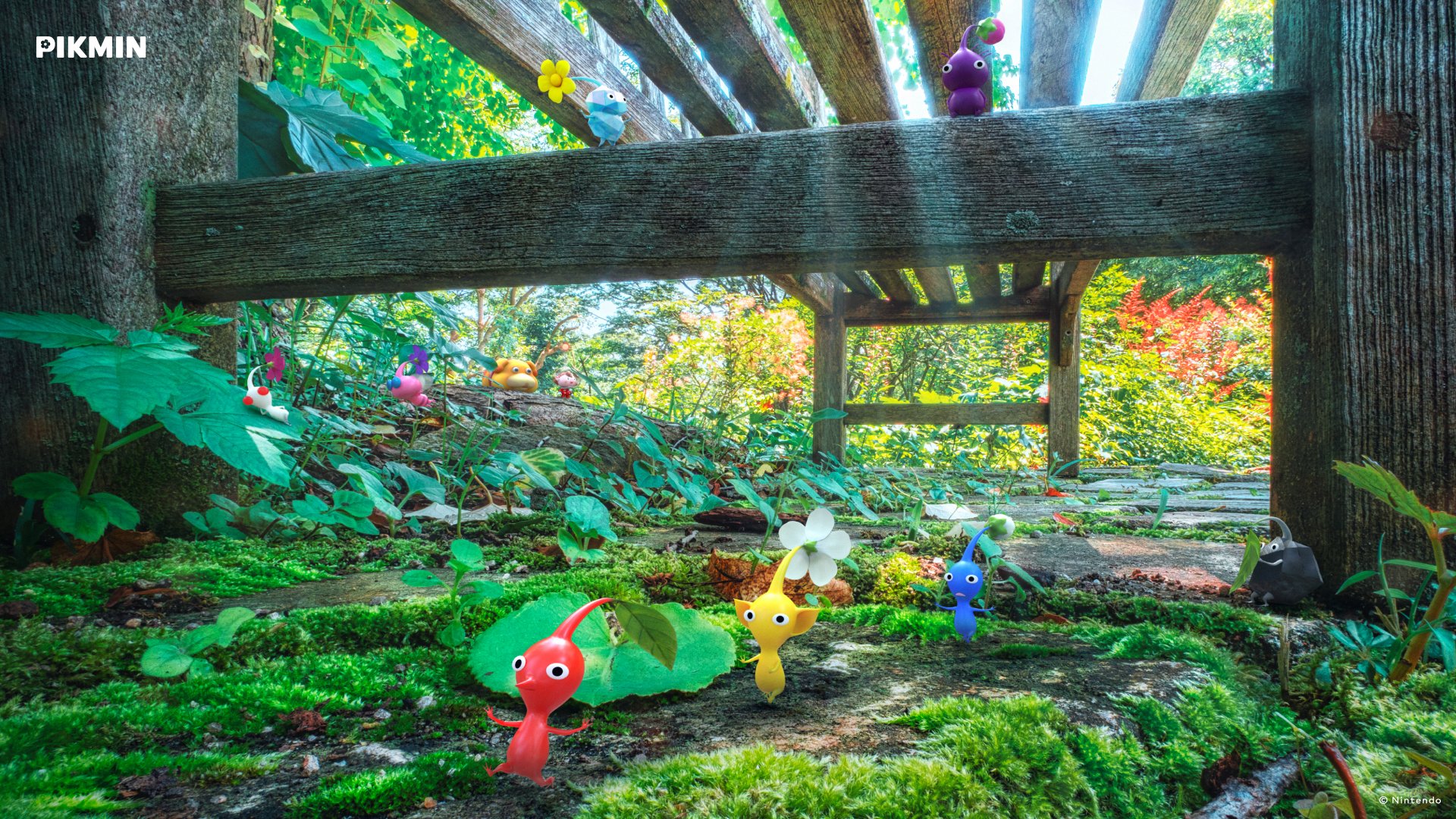 Download Pikmin HD Wallpaper