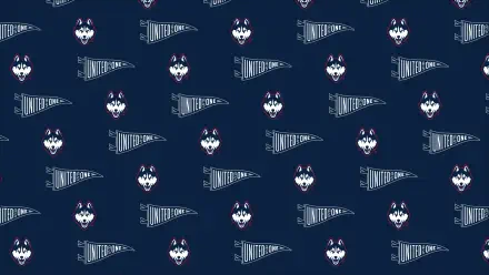 UConn Athletics - Desktop Wallpapers, Phone Wallpaper, PFP, Gifs, and More!