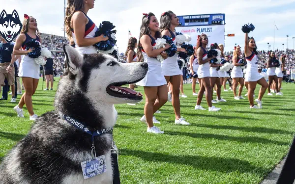 UConn Athletics Wallpapers