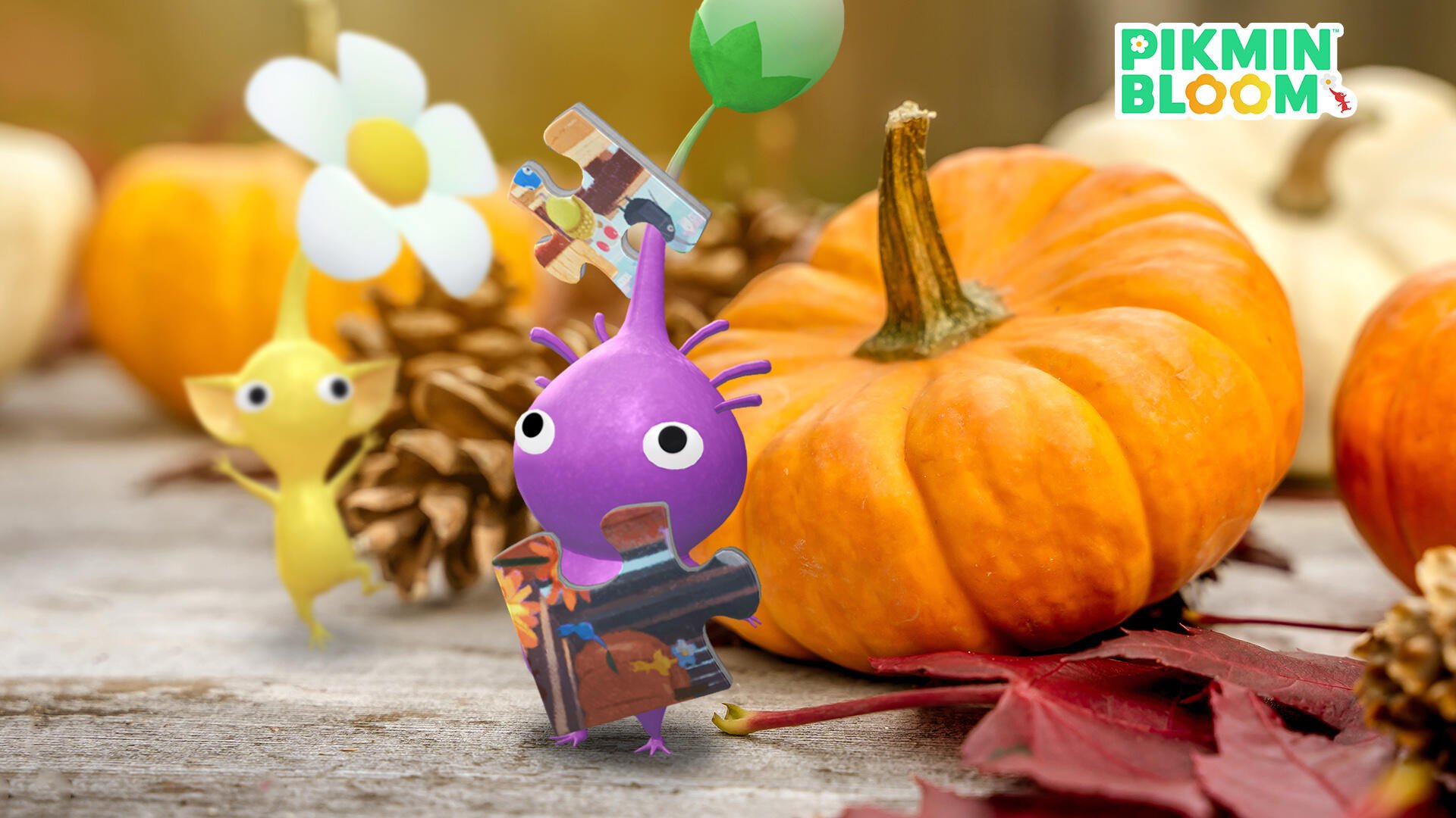 Pikmin Bloom HD: Autumn Adventures with Colorful Pikmin Friends