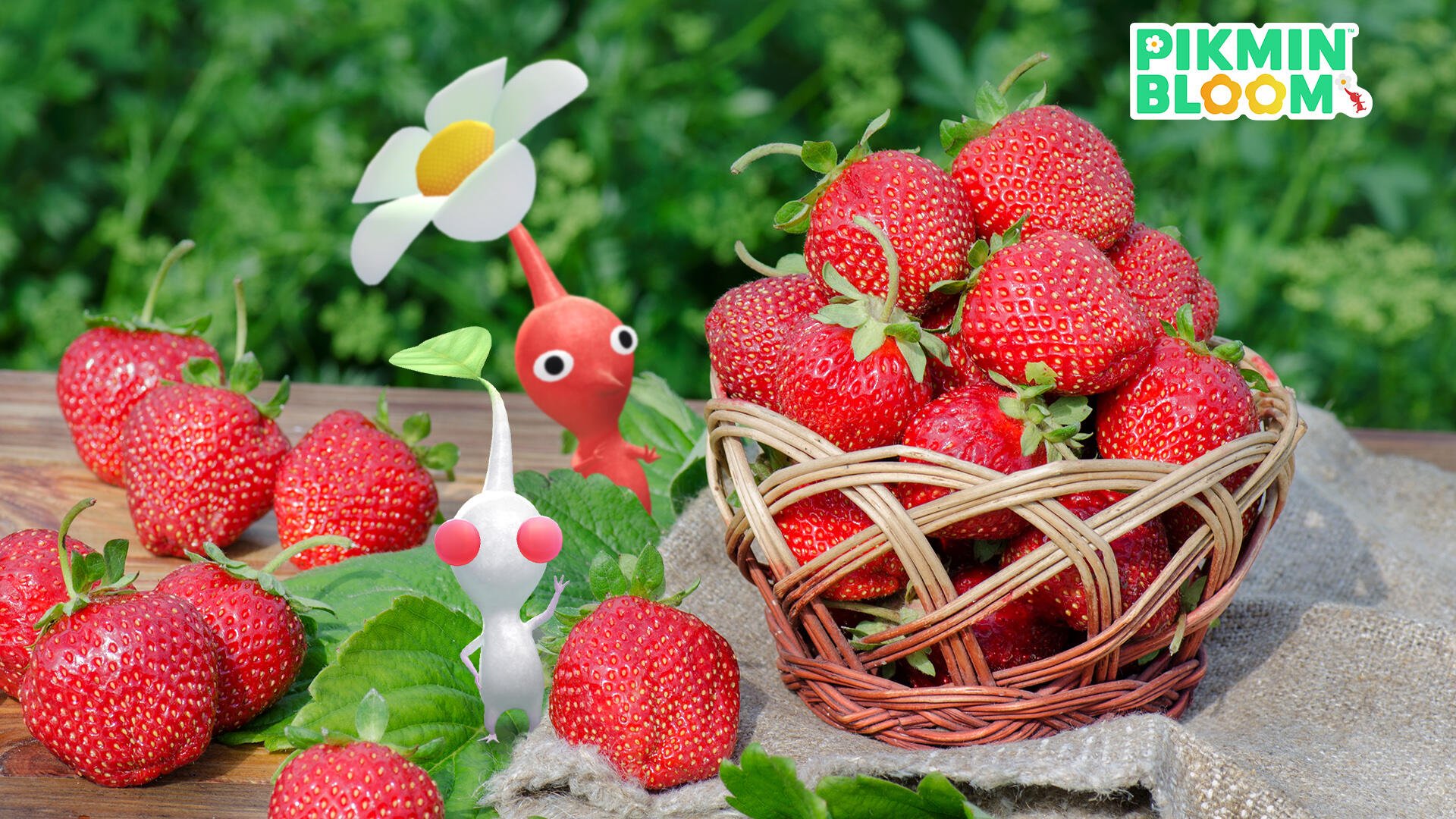 Pikmin Bloom: Vibrant Strawberry Harvest HD Wallpaper | 1920x1080 ...