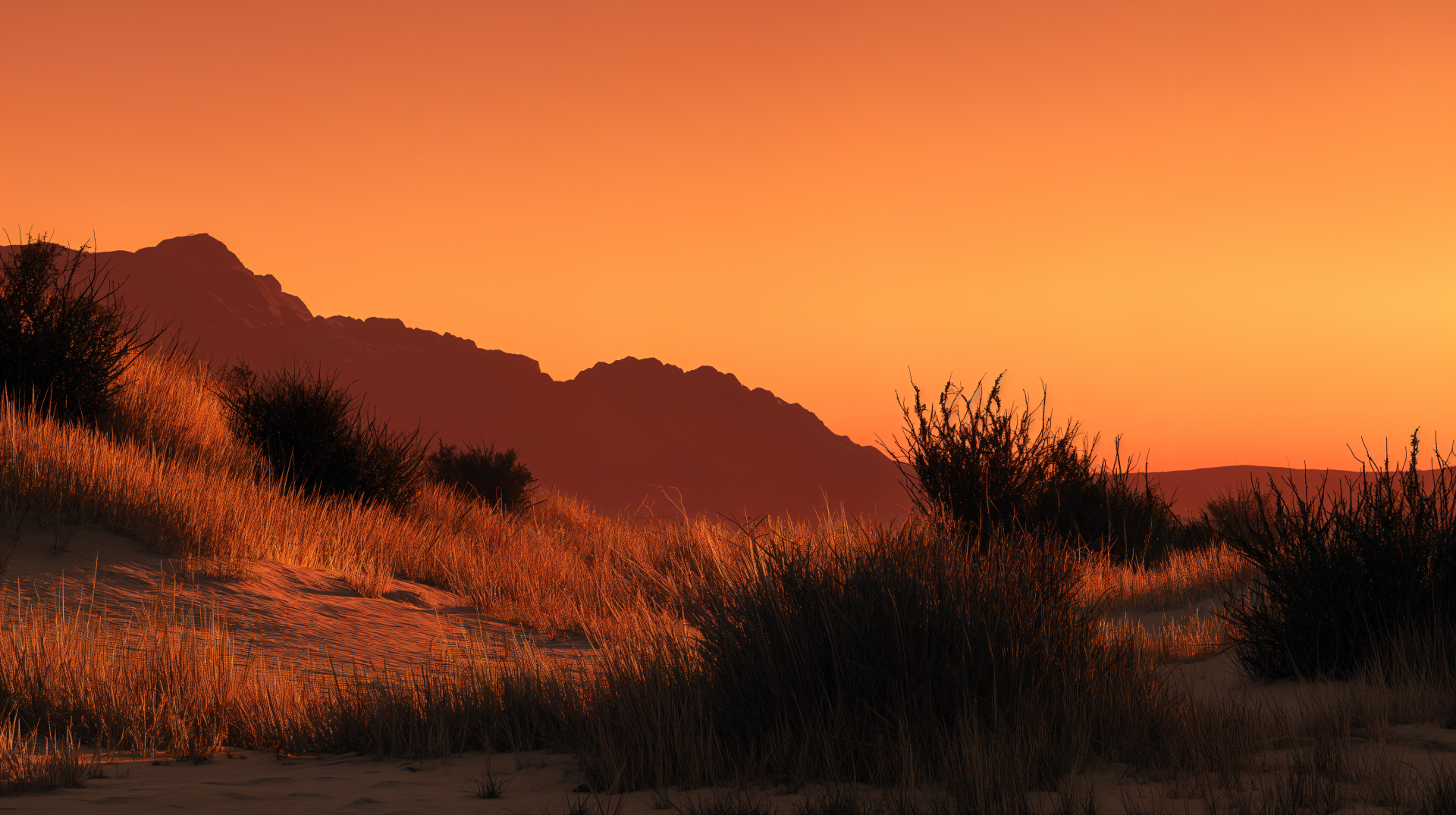 Desert Sunset Wallpapers