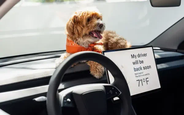 [20+] Tesla Model 3 4k Wallpapers