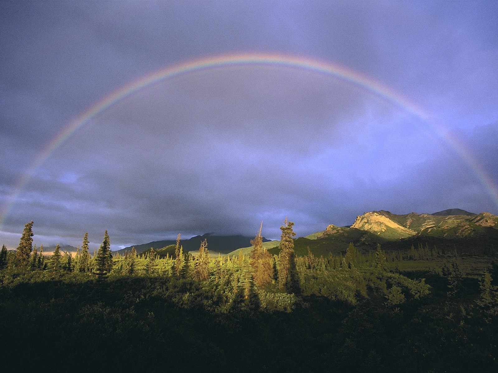 Download Nature Rainbow Wallpaper