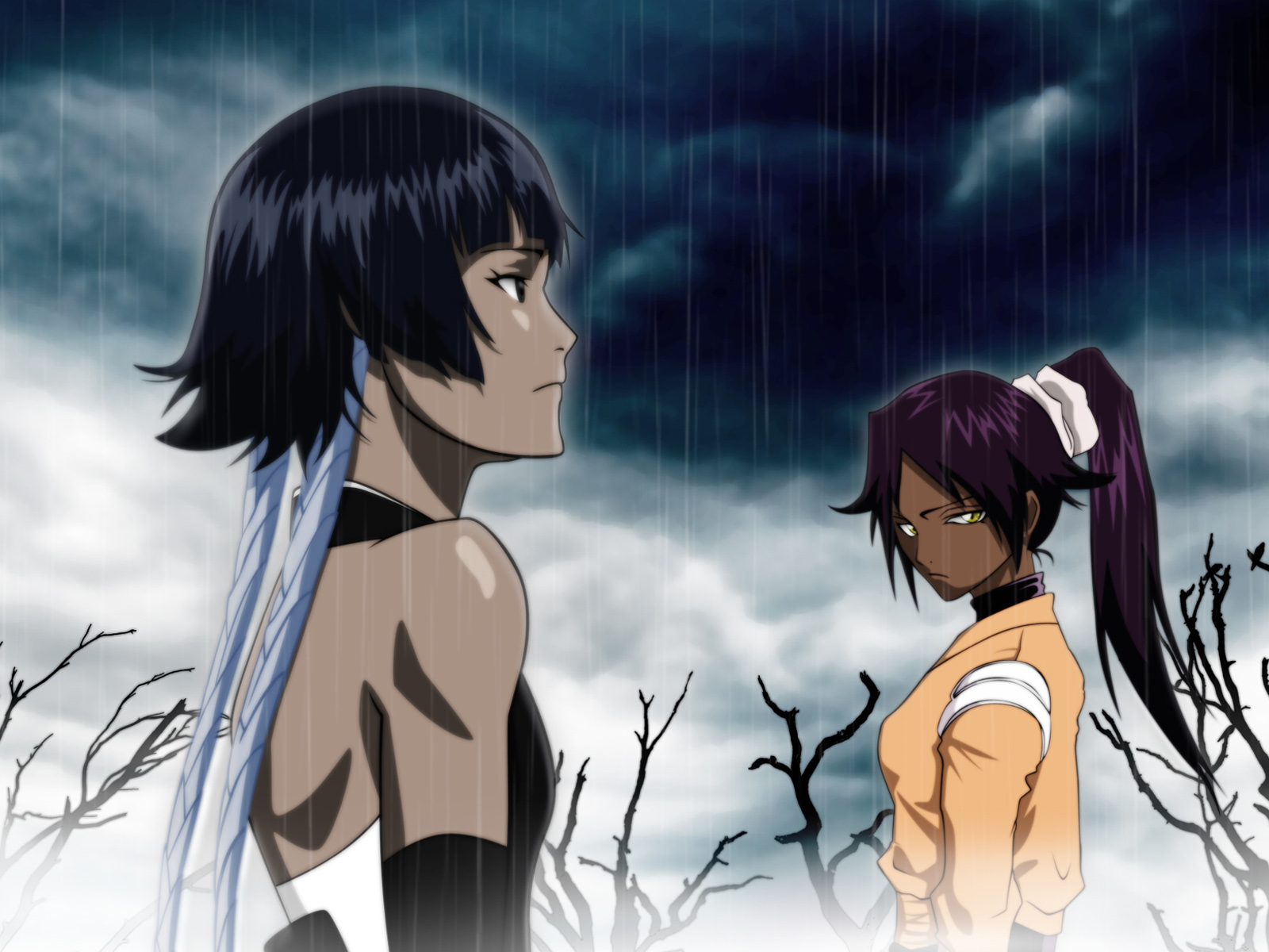 Download Yoruichi Shihôin Soifon (Bleach) Anime Bleach Wallpaper