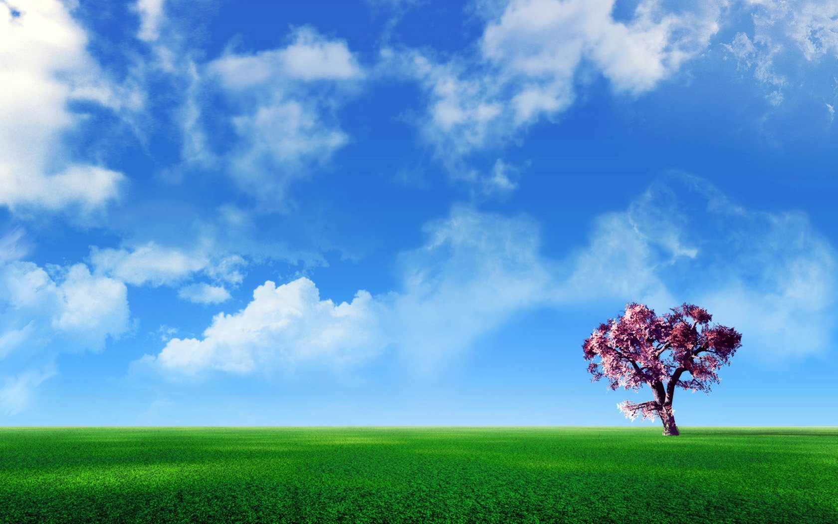 Download Cloud Nature Tree Wallpaper