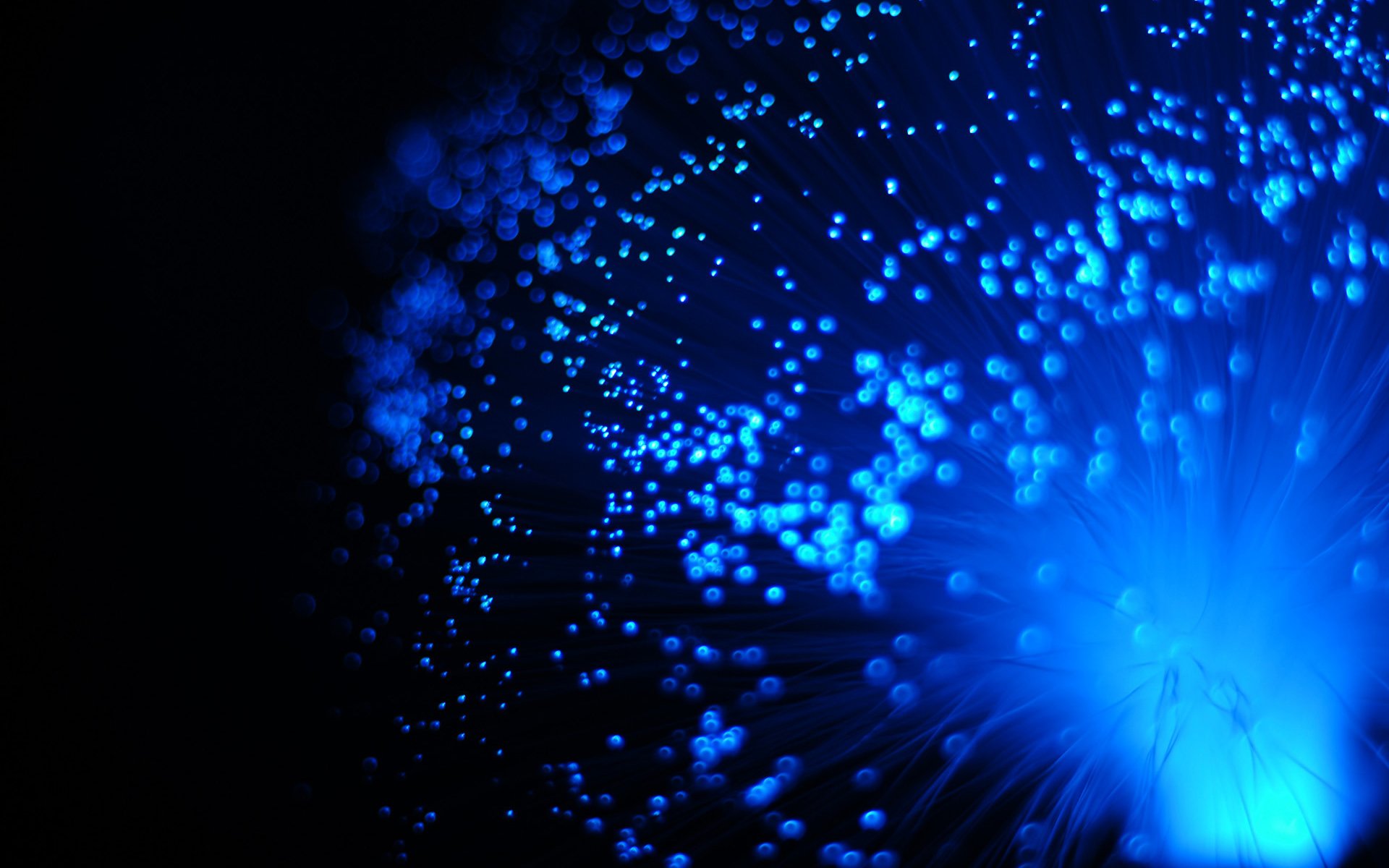 Photography Close Up HD Wallpaper