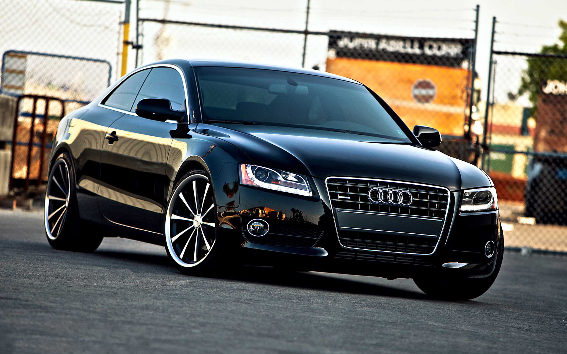 Sleek Audi Beauty - HD Vehicle Wallpaper