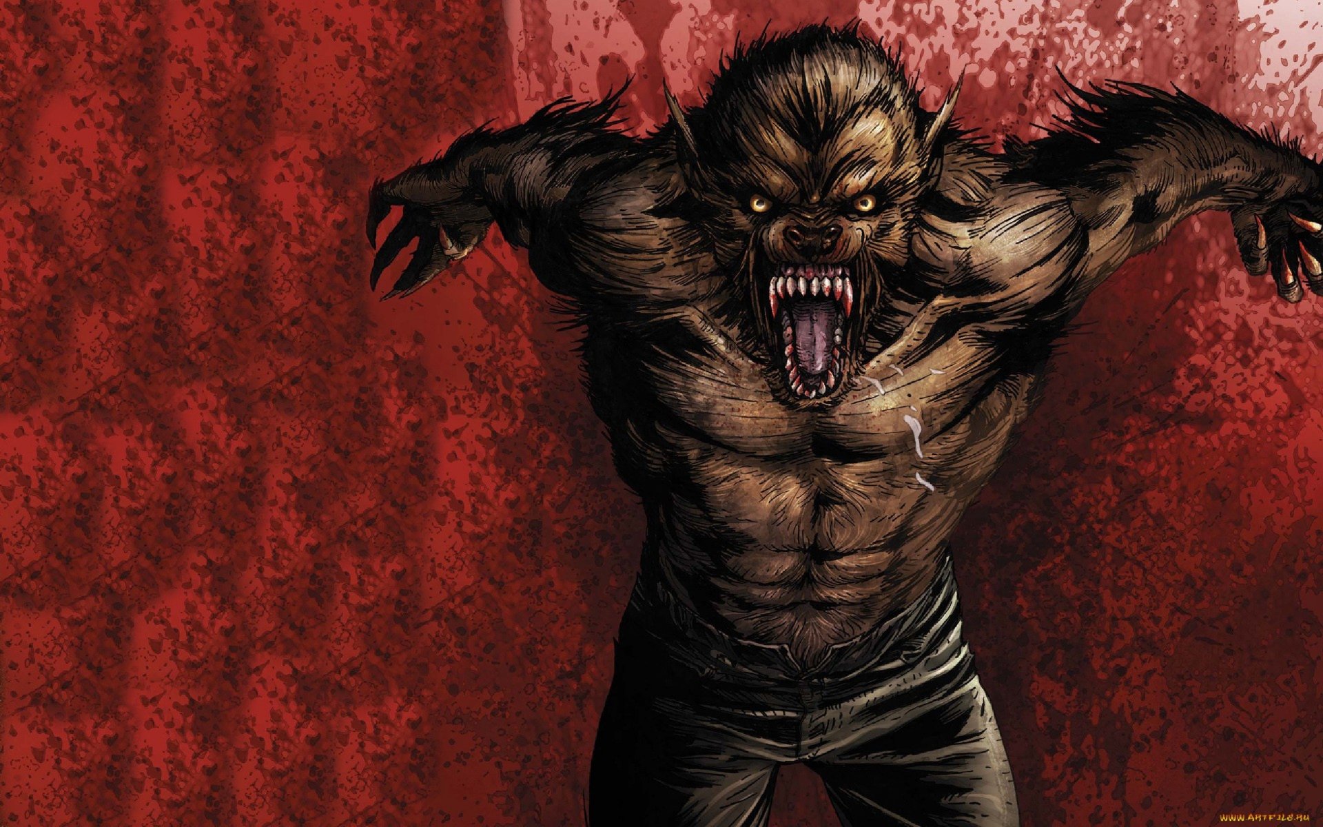 Download Dark Werewolf HD Wallpaper