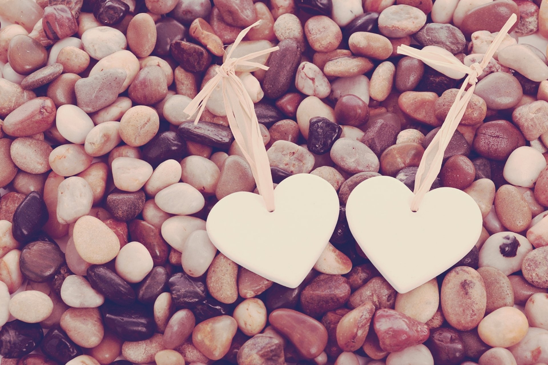 Download Photography Love HD Wallpaper