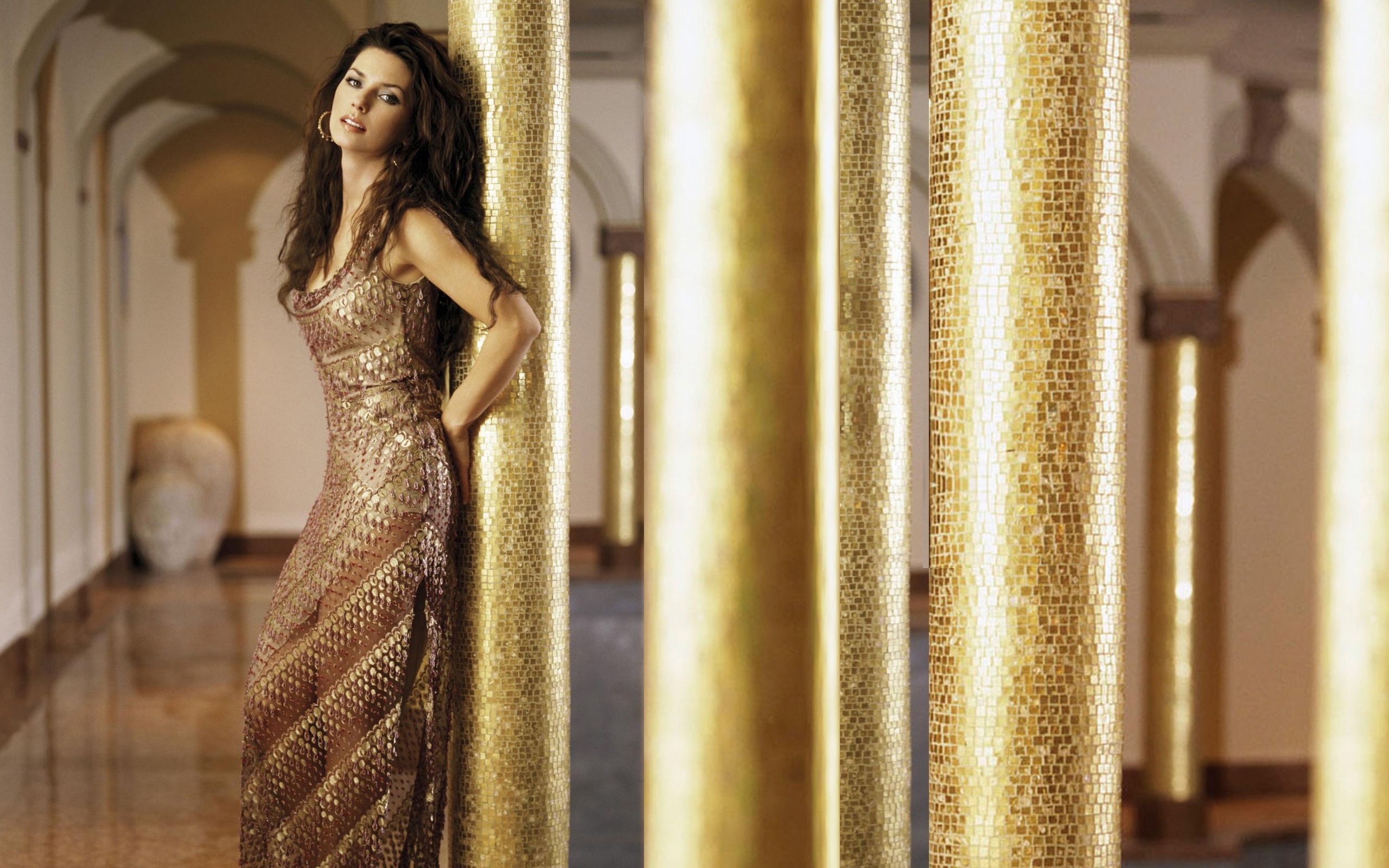 Shania Twain HD Wallpaper – Iconic Music Elegance in Golden Hues