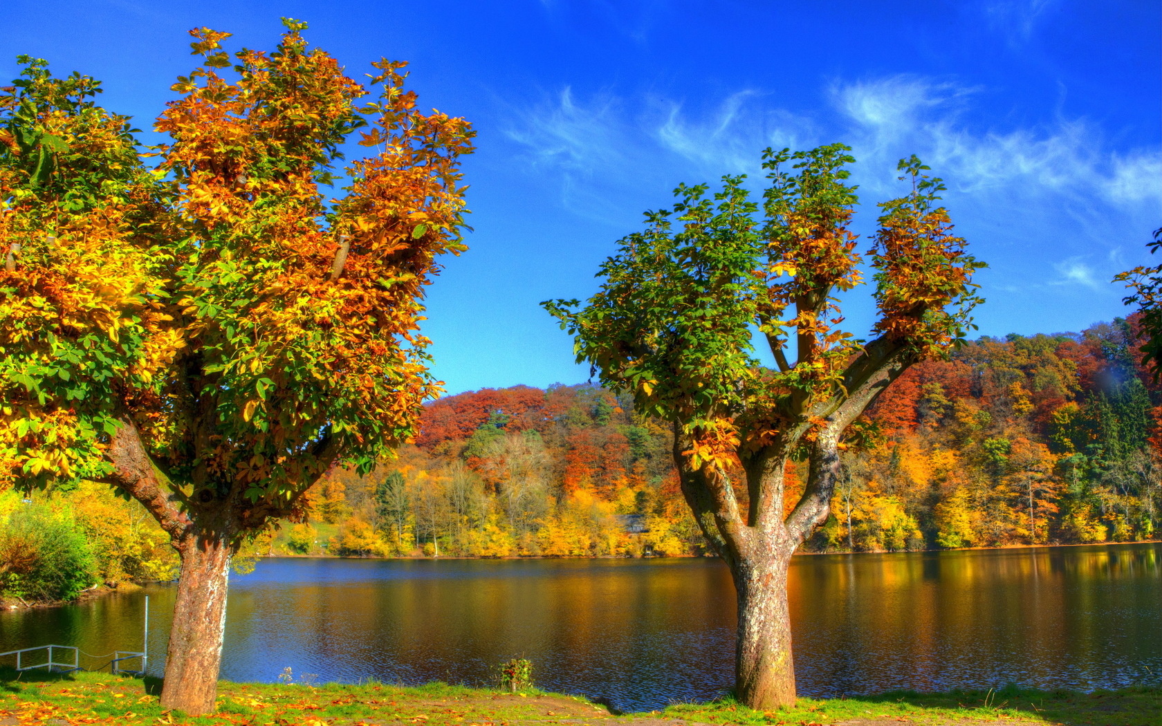 Vibrant Fall Nature HD Wallpaper: Colorful Autumn Trees by Serene Lake