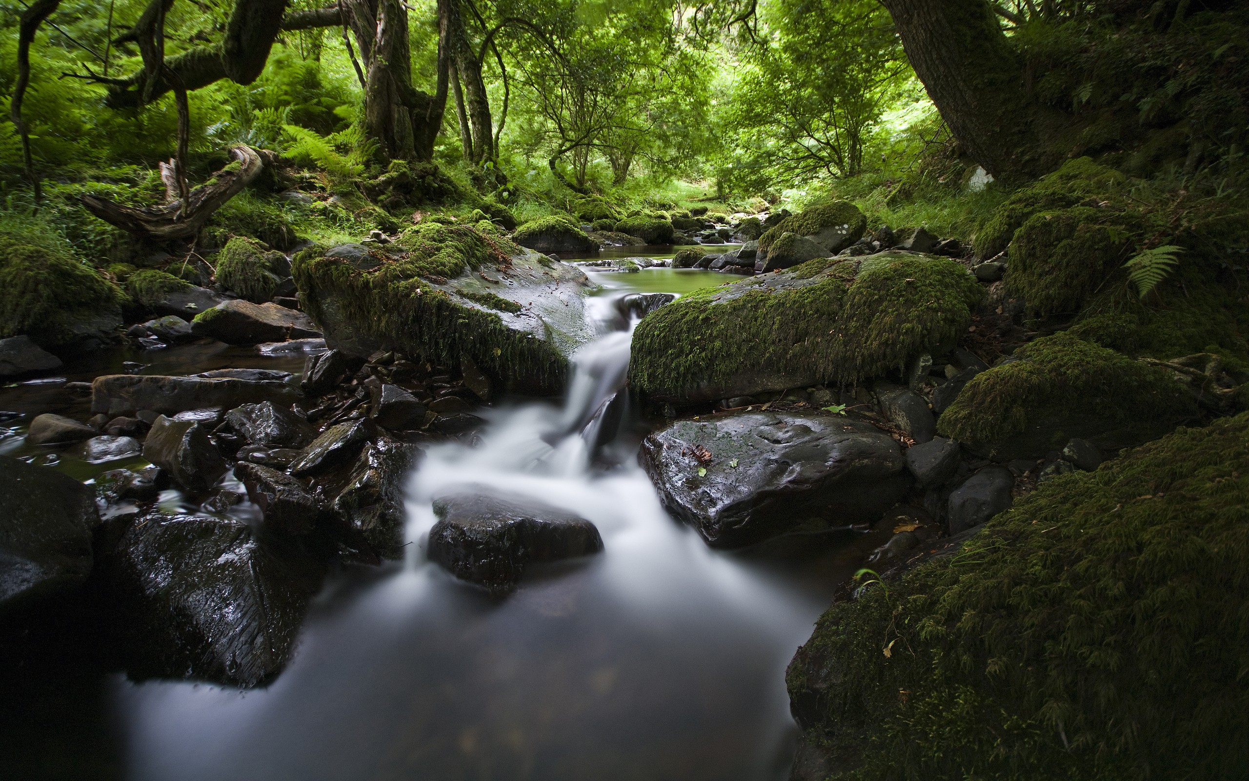 Download Nature Stream HD Wallpaper