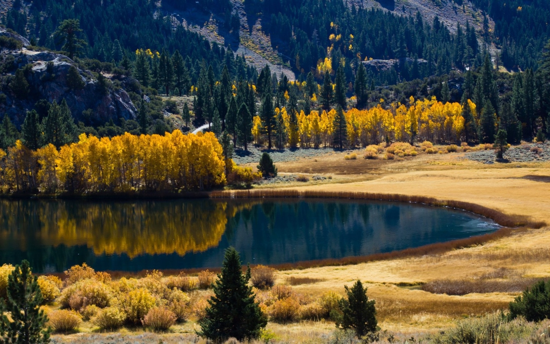 Fall HD Wallpaper | Background Image | 1920x1200 | ID:331981 ...
