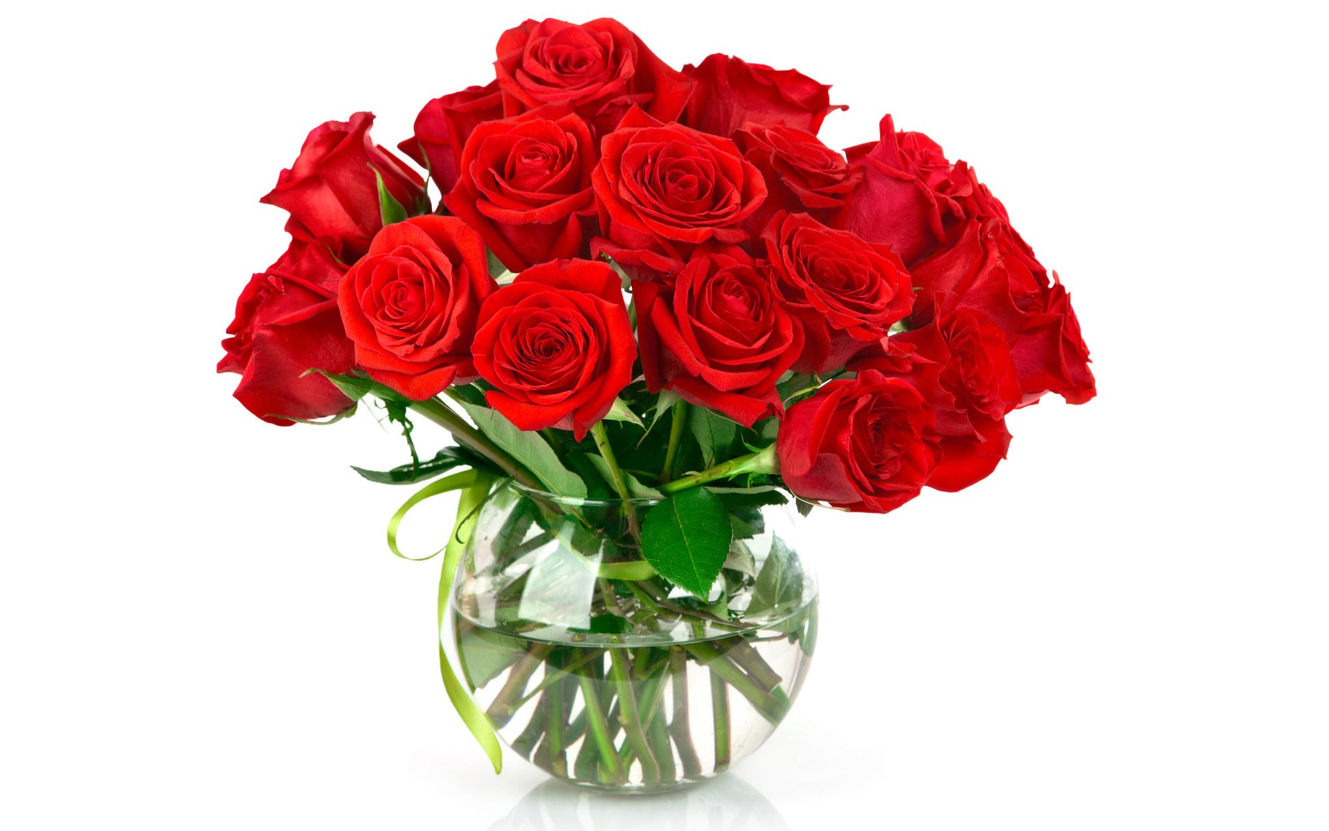 Nature's Beauty: HD Wallpaper of Vibrant Red Roses