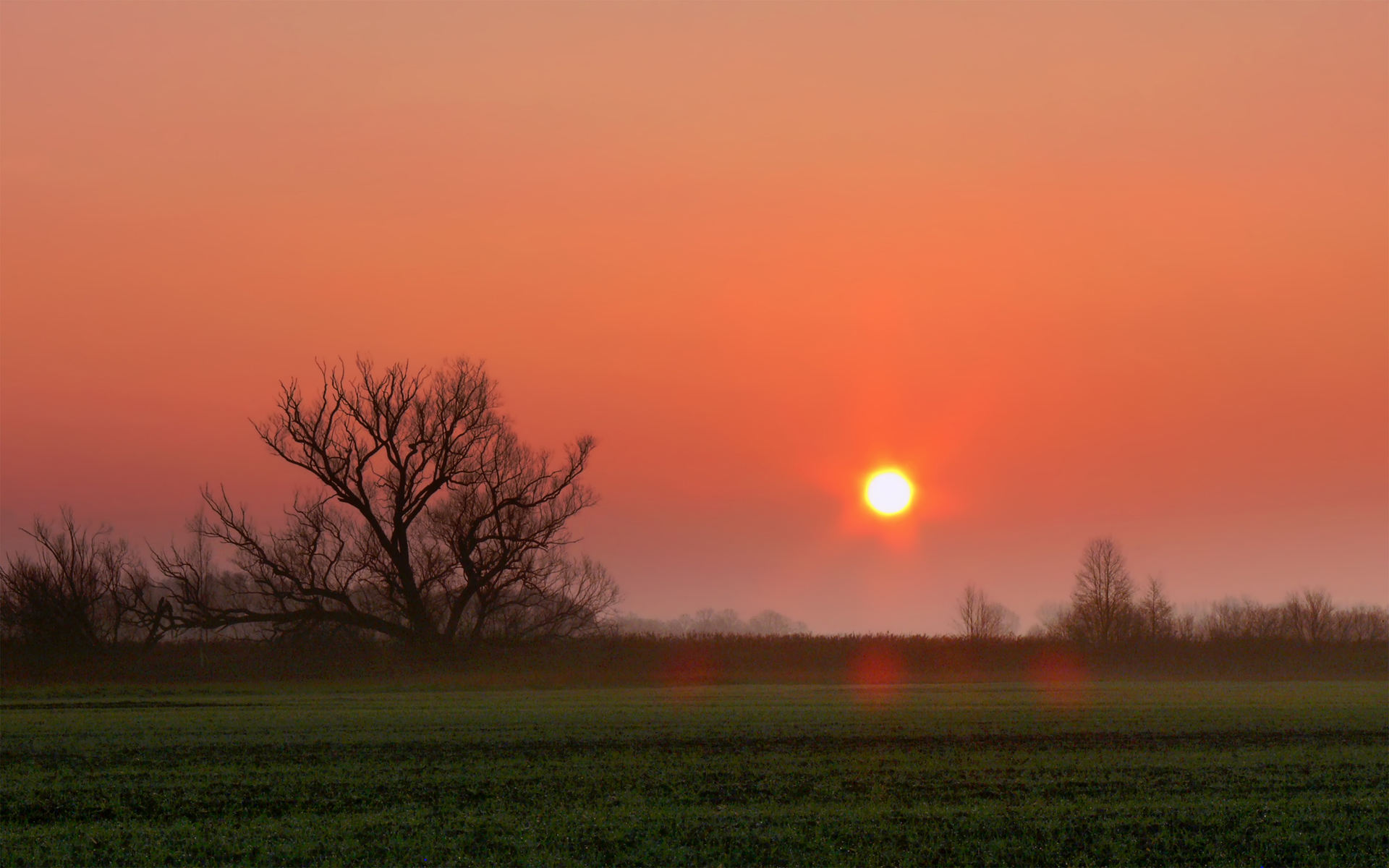 Countryside Sunset Widescreen Wallpaper