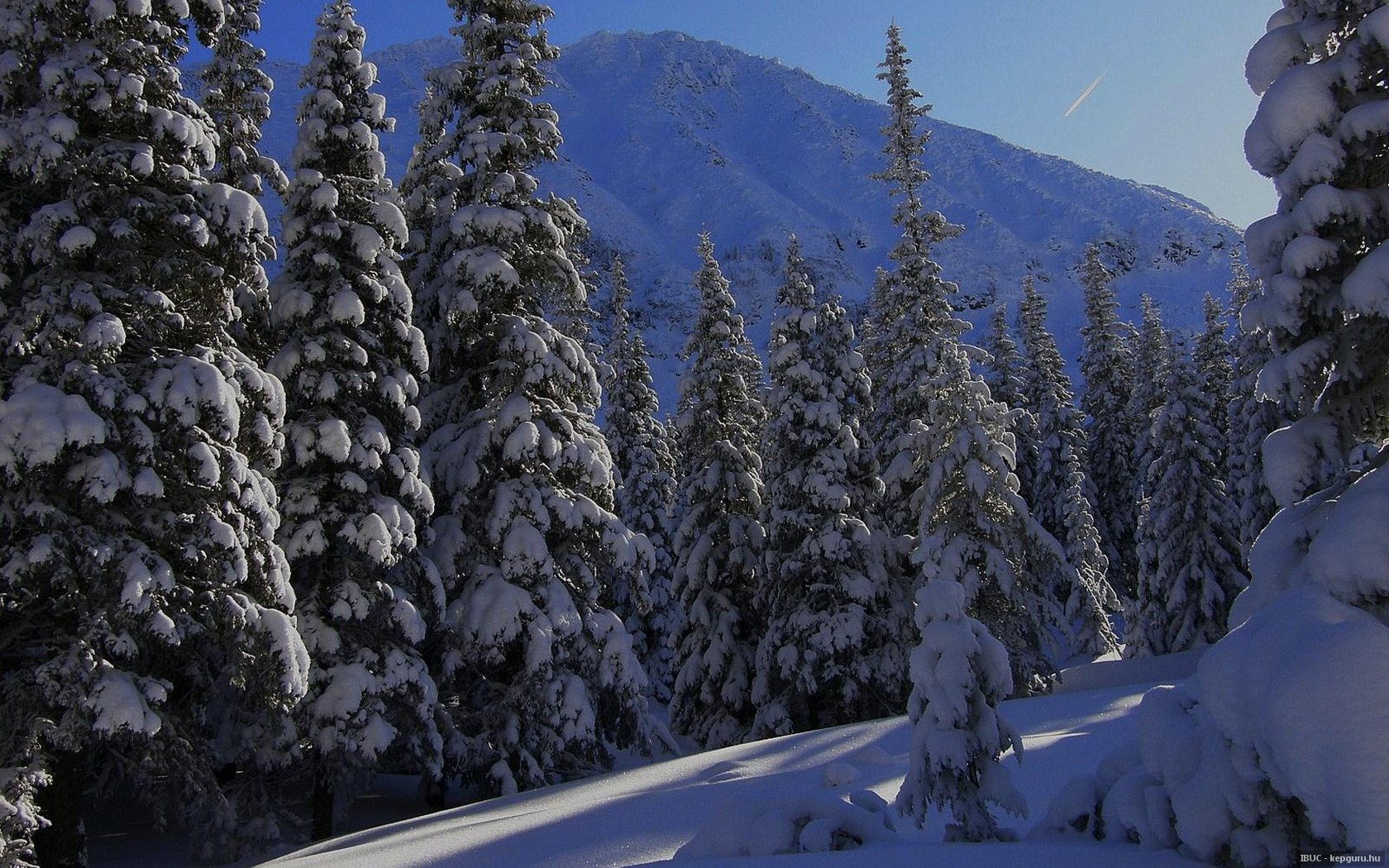 Download Nature Winter Wallpaper