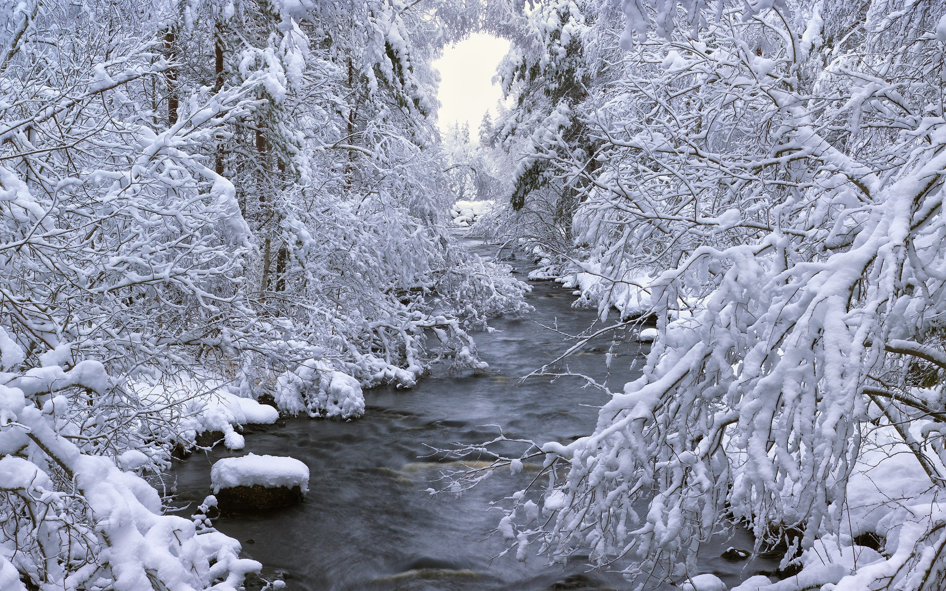 Snowbound Stream — HD Nature Wallpaper | 1920x1200 | Wallpaper Abyss