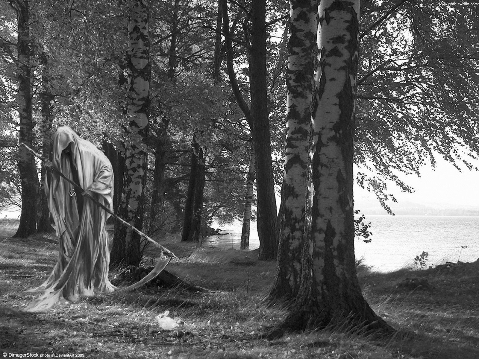 Dark Reaper’s Haunting Walk – HD Grim Forest Wallpaper | 1600x1200 ...