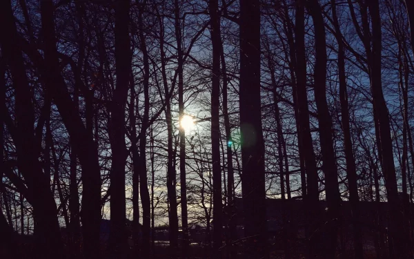 [40+] Shadow 4k Wallpapers