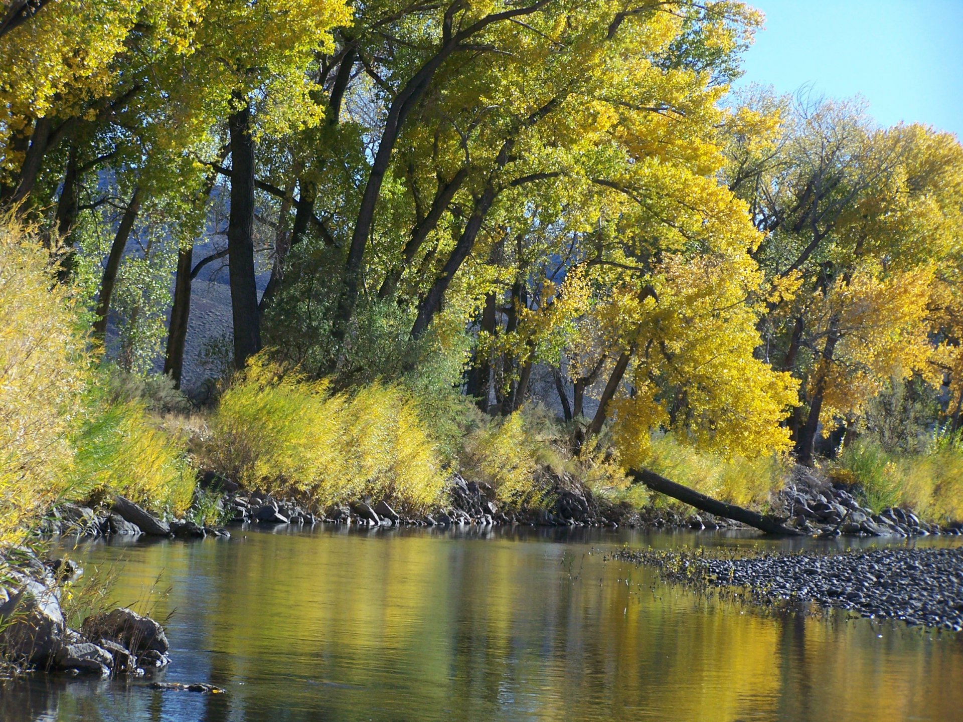 Download Nature River HD Wallpaper