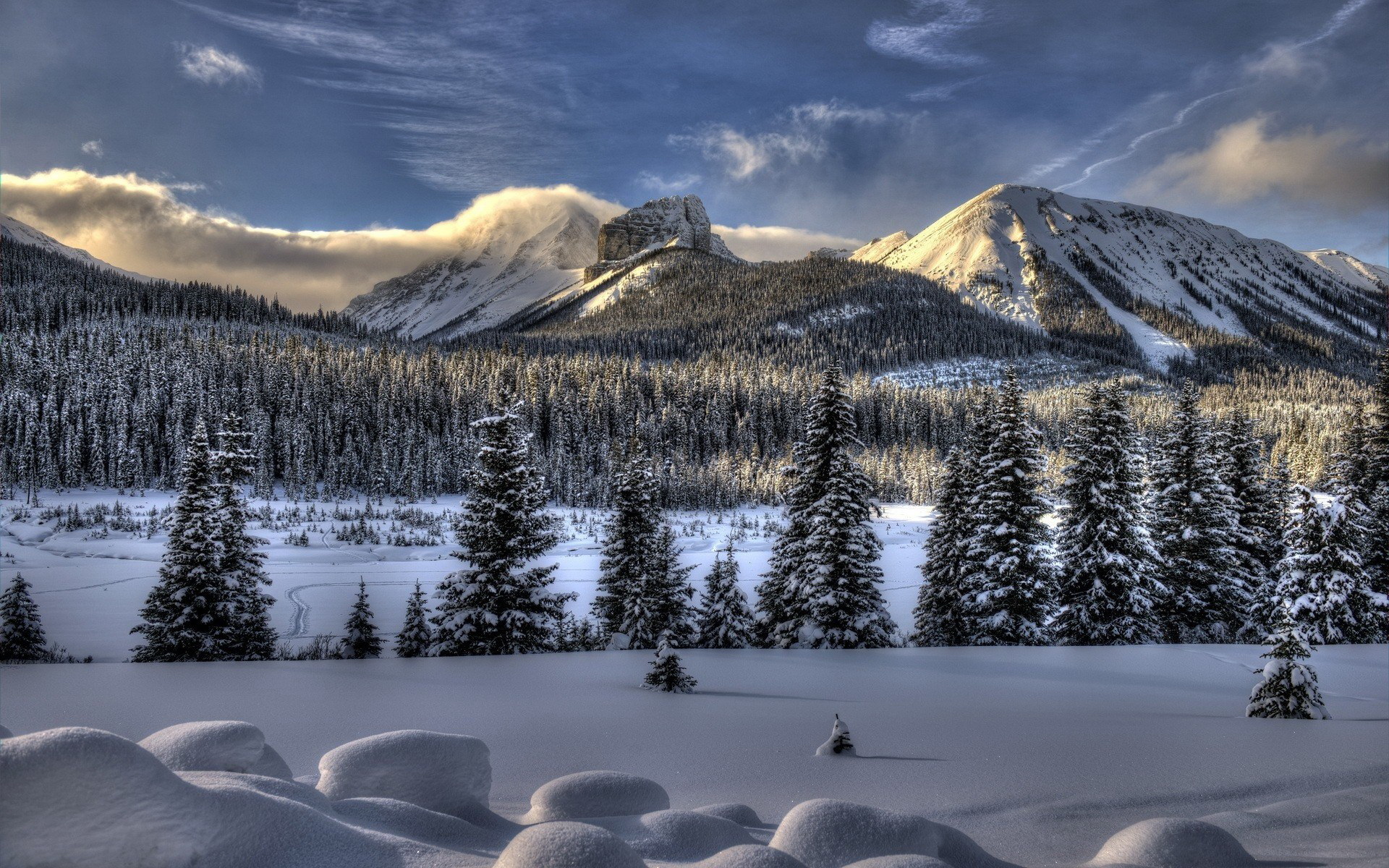 Download Nature Winter HD Wallpaper