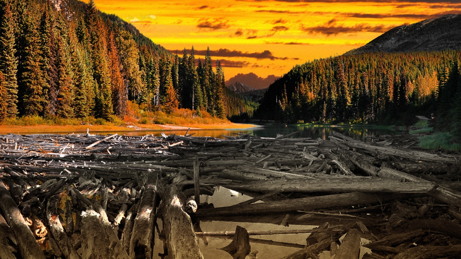Download Nature Landscape HD Wallpaper | 1920x1080 | Wallpaper Abyss