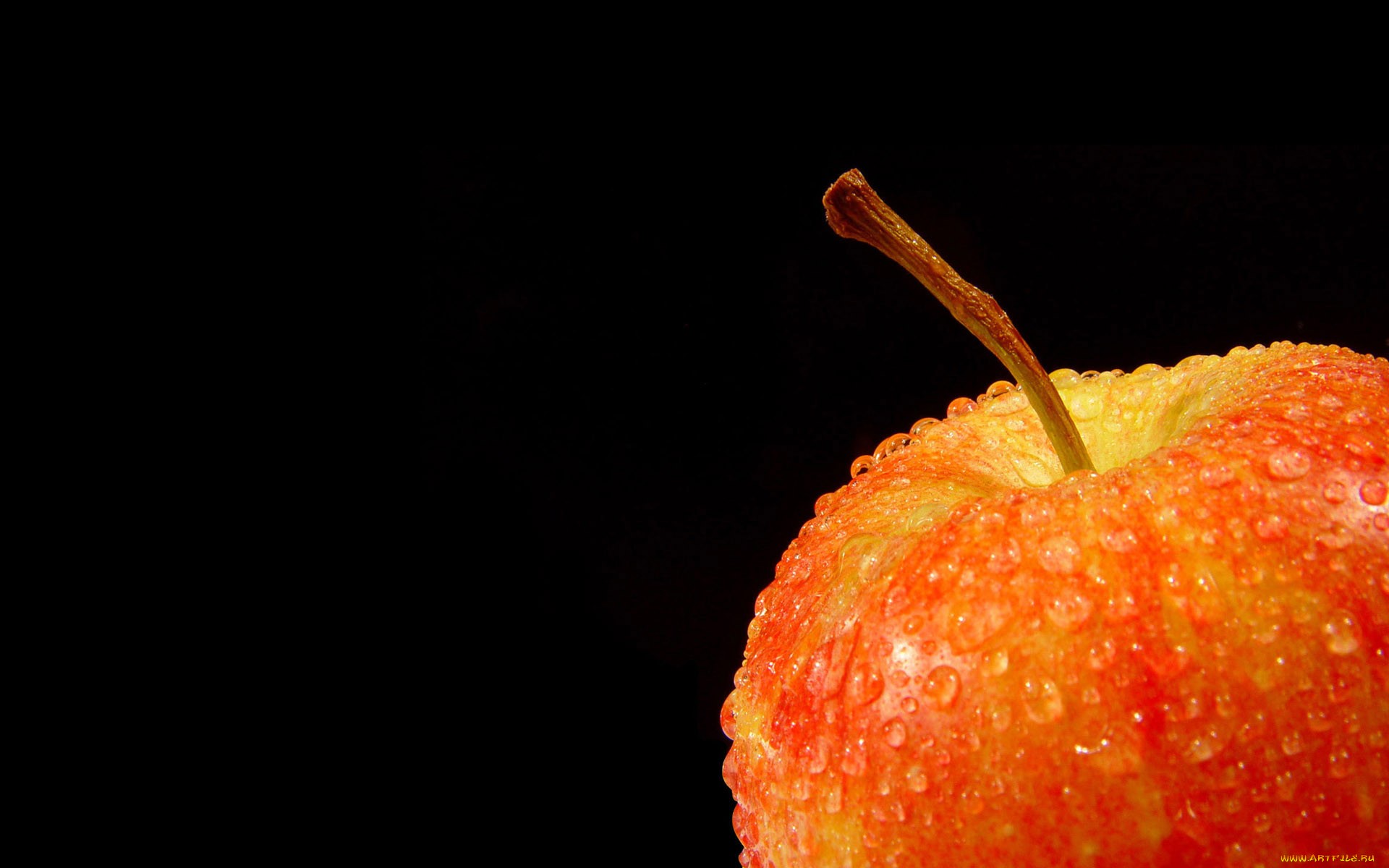 Download Food Apple HD Wallpaper