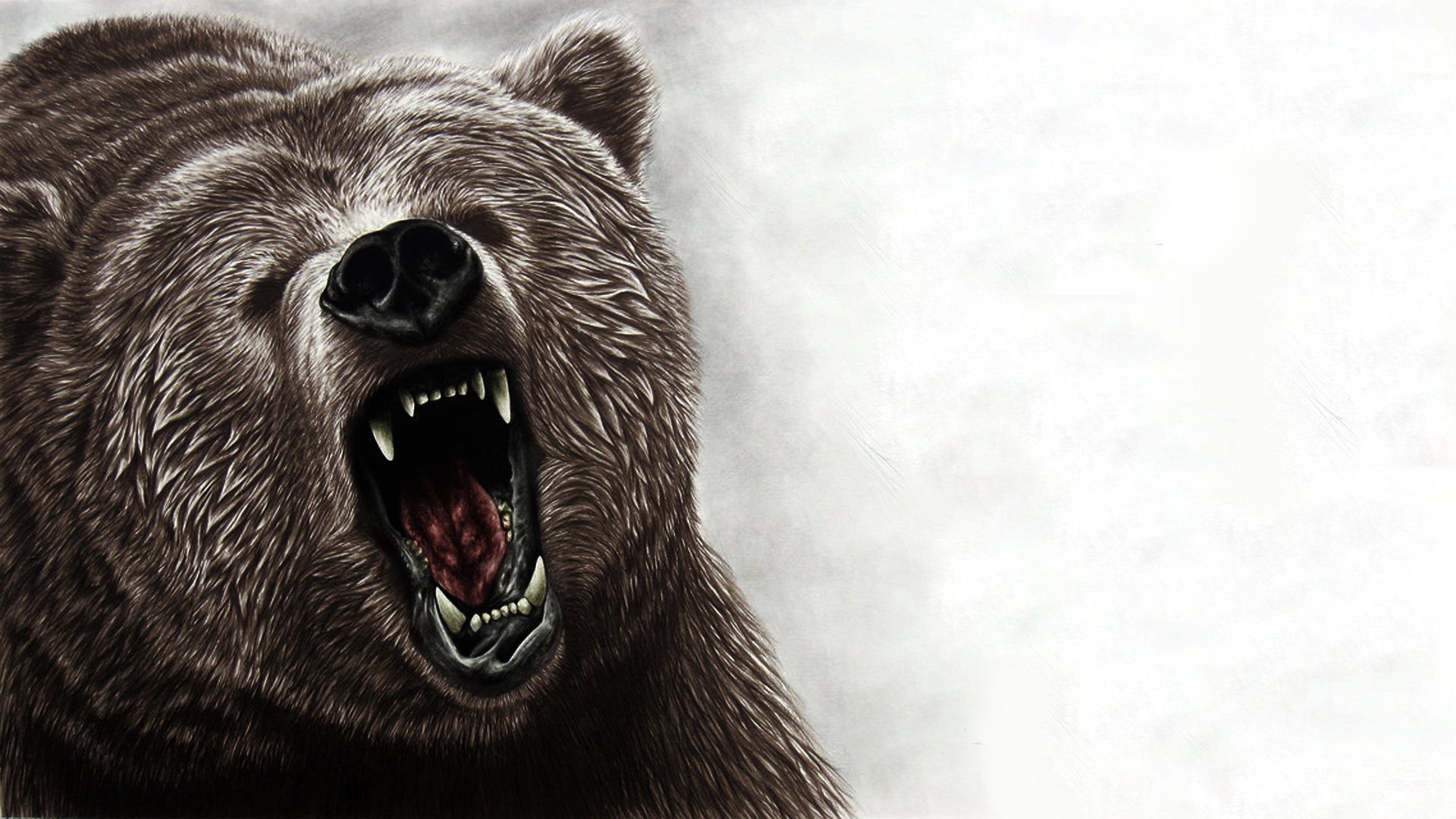 Roaring Bear HD Wallpaper – Wild Animal Majesty in High Definition