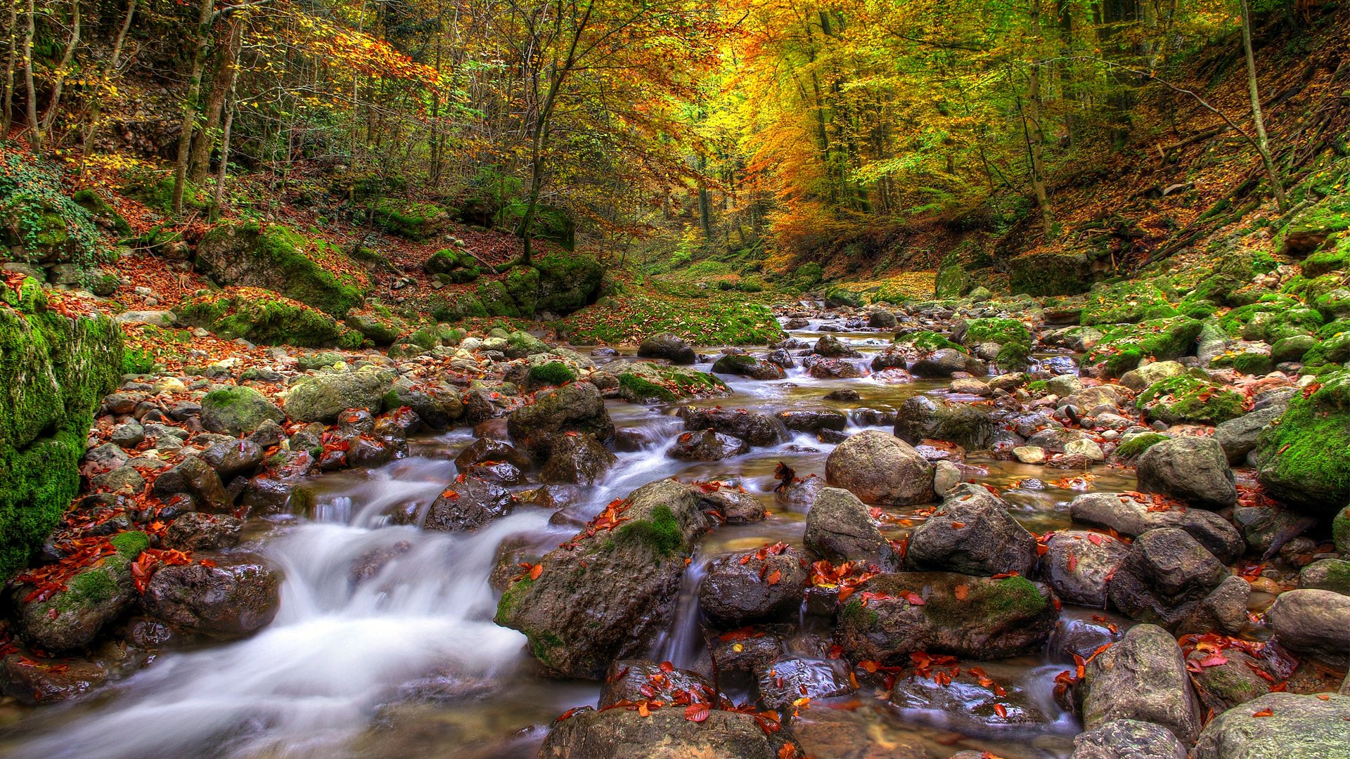 Serene Stream: Stunning HD Nature Wallpaper